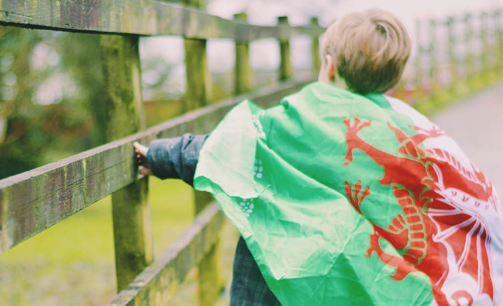 Promoting Welsh language through volunteering - Knowledge Hub